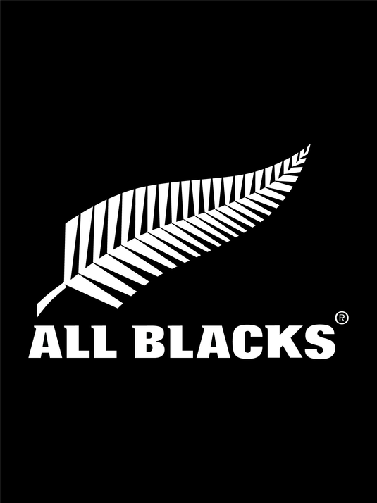 All Blacks® Flags and Bunting – Flagmakers Ltd